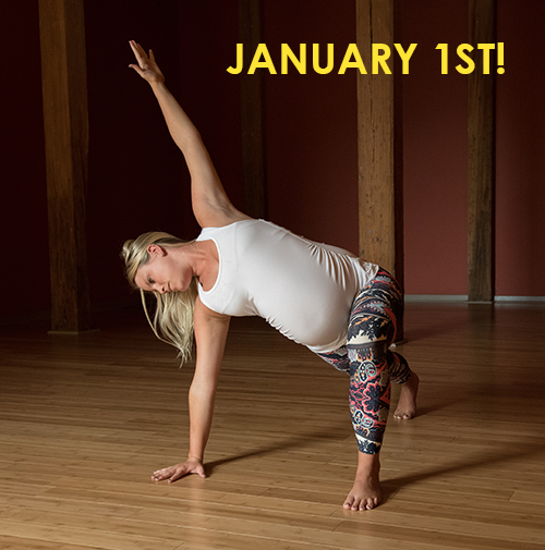 FRESH YOGA : Classes : Workshops : Teacher Training : New Haven Connecticut